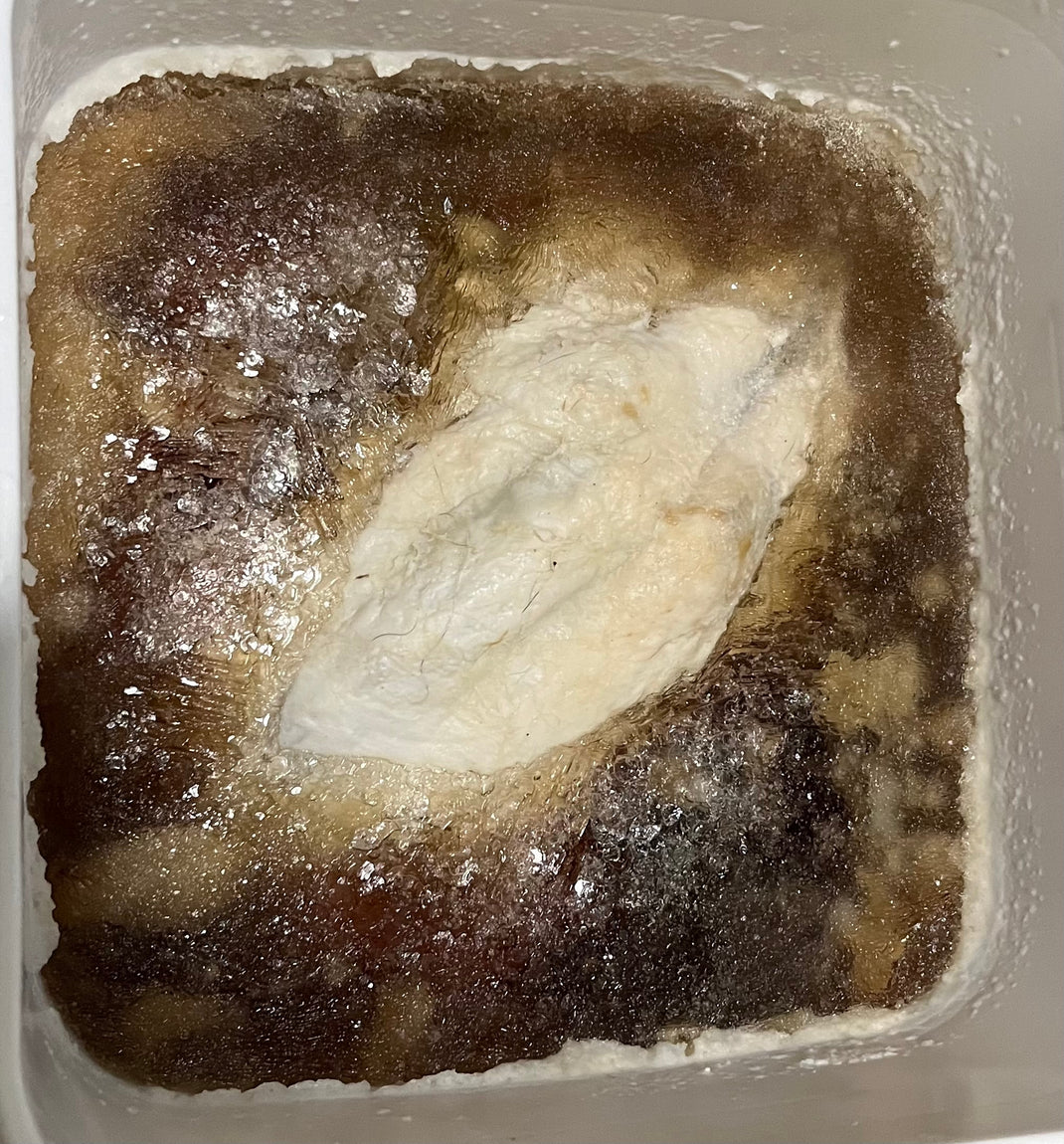 Water Maceration – Unfortunate Cadaver